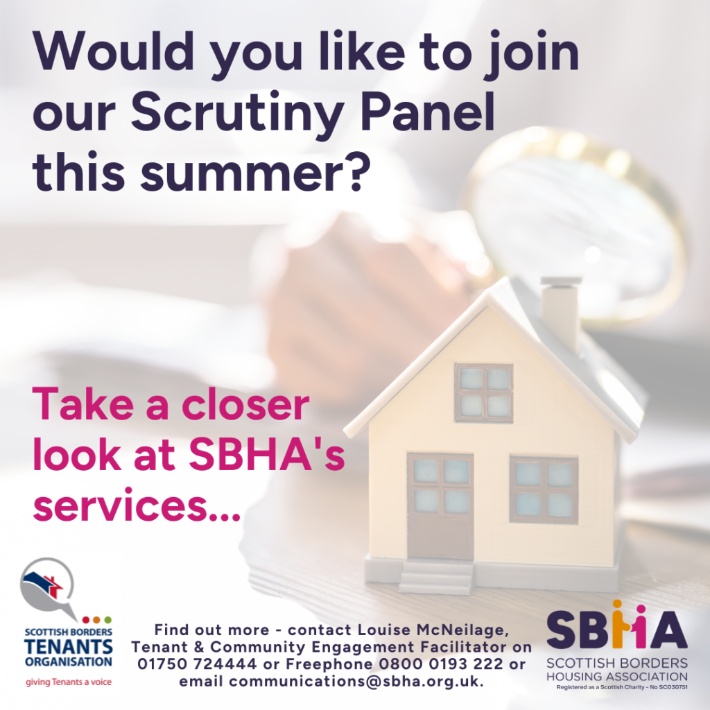 Scrutiny Project – Summer 2024 & Training with TIS | Scottish Borders ...