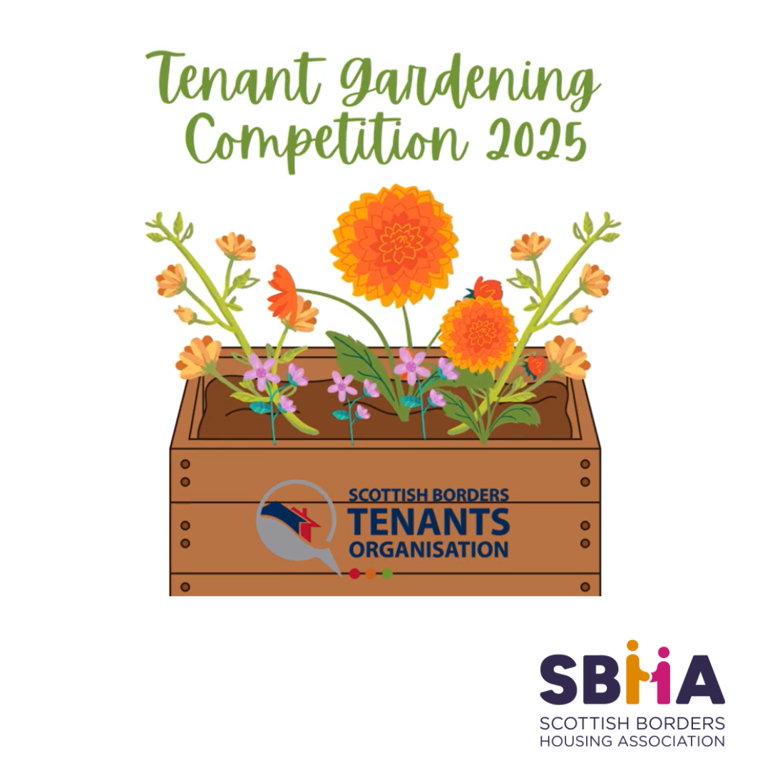 Tenant Gardening Competition 2025 - The Results! - Scottish Borders ...